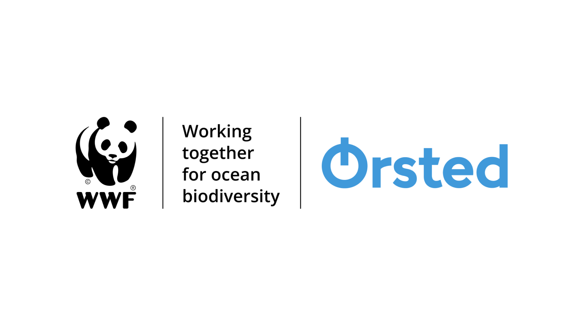 WWF og Ørsted i globalt partnerskab: Vil fremme løsninger, der gavner ...