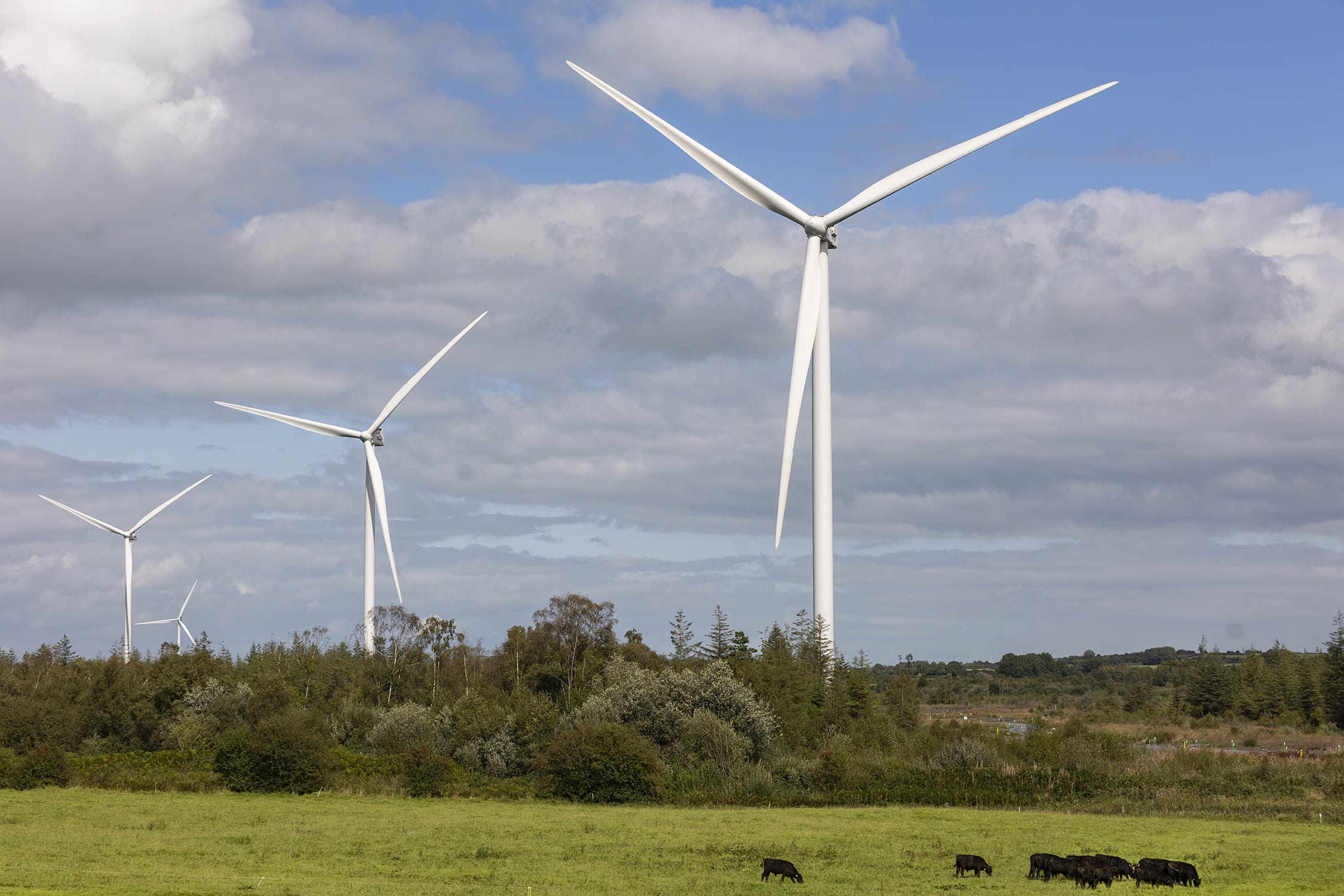 Ørsted secures solar and wind renewable energy contracts under Irish ...