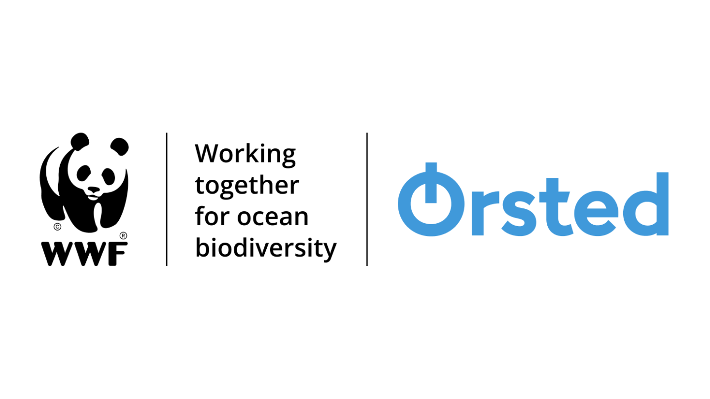 WWF and Ørsted in new global partnership to integrate action on climate ...