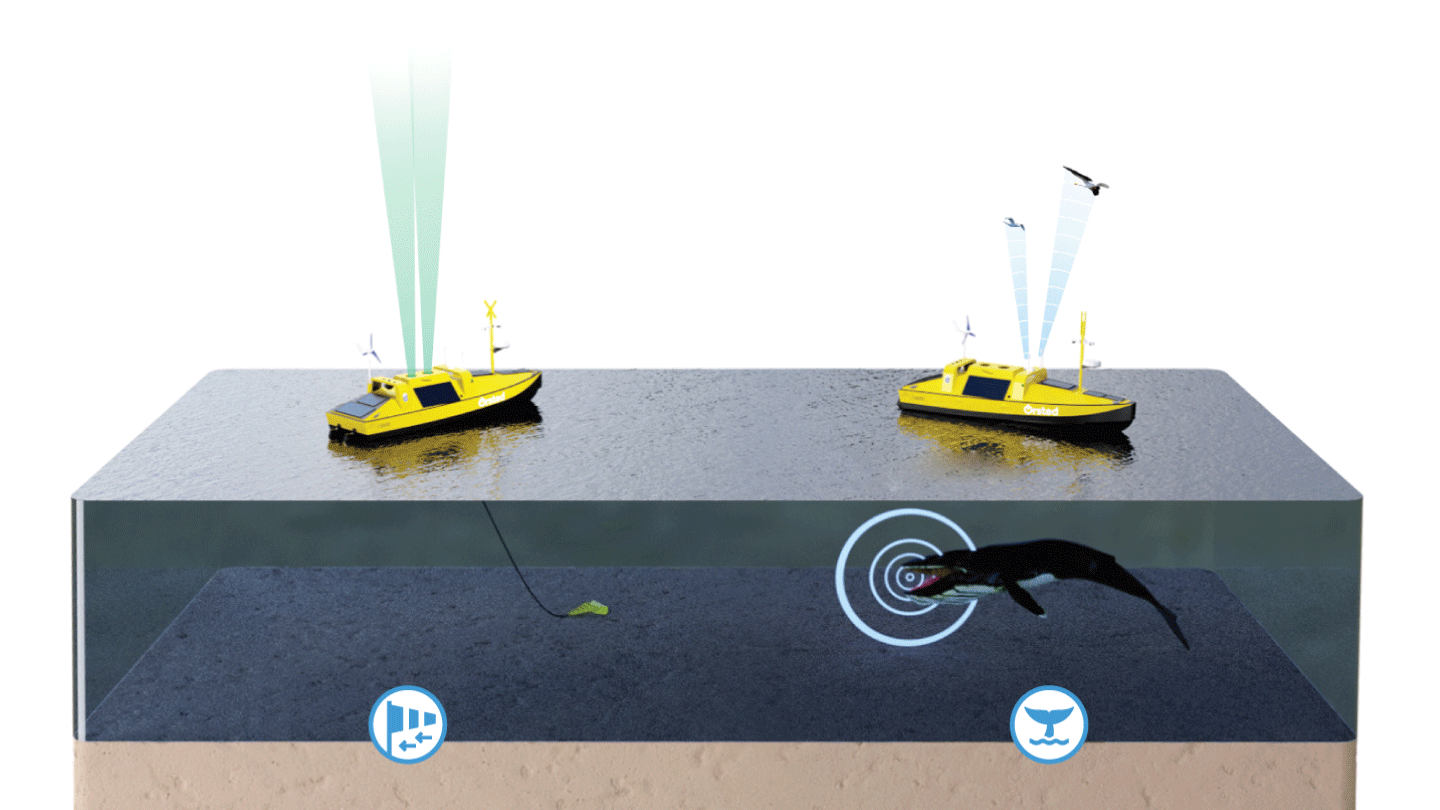 Autonomous vessels – learn about our unique USV| Ørsted