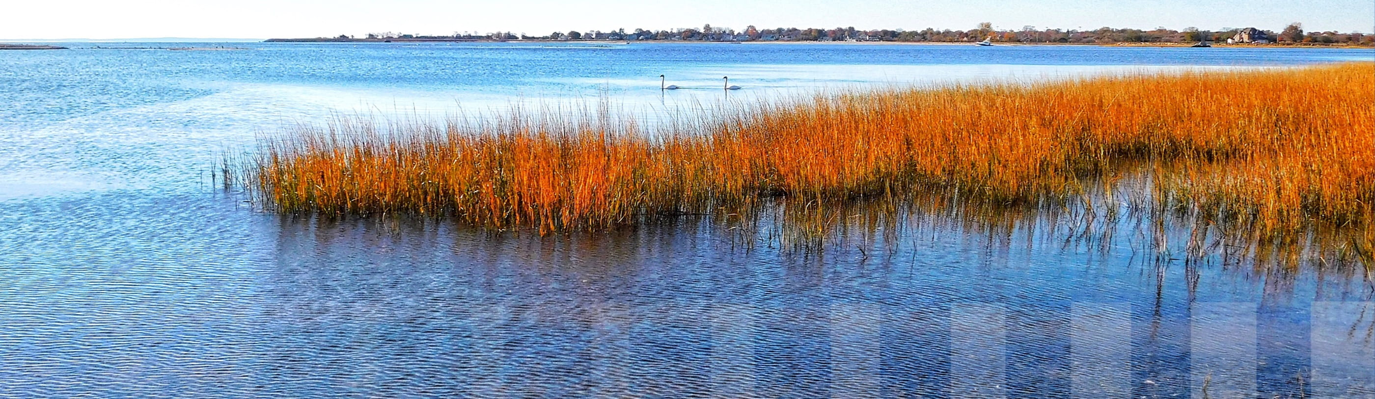 About | Revolution Wind