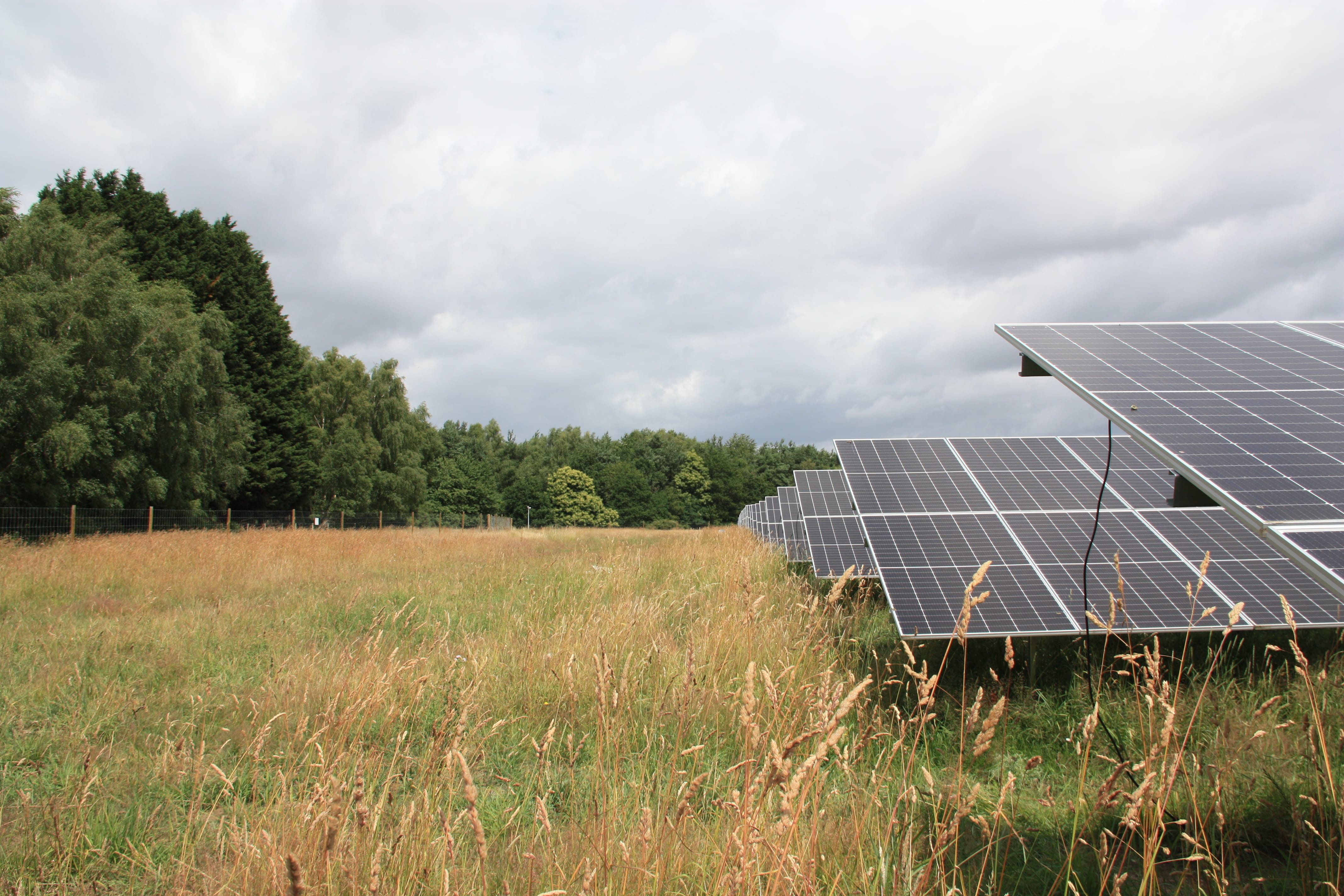 Orsted enters its first UK solar project