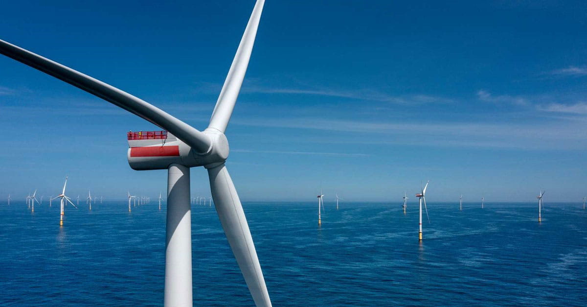 A Renewables Company That Takes Action | Ørsted Australia