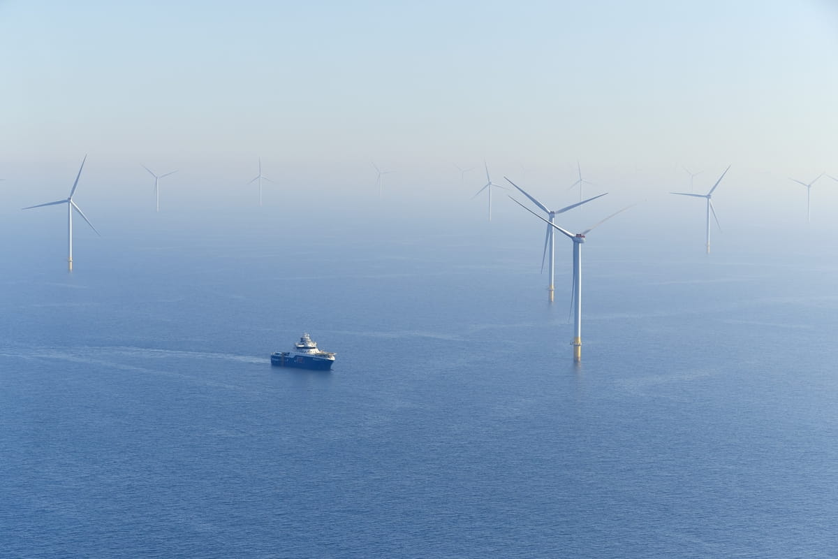 A Renewable Energy Company That Takes Action | Ørsted