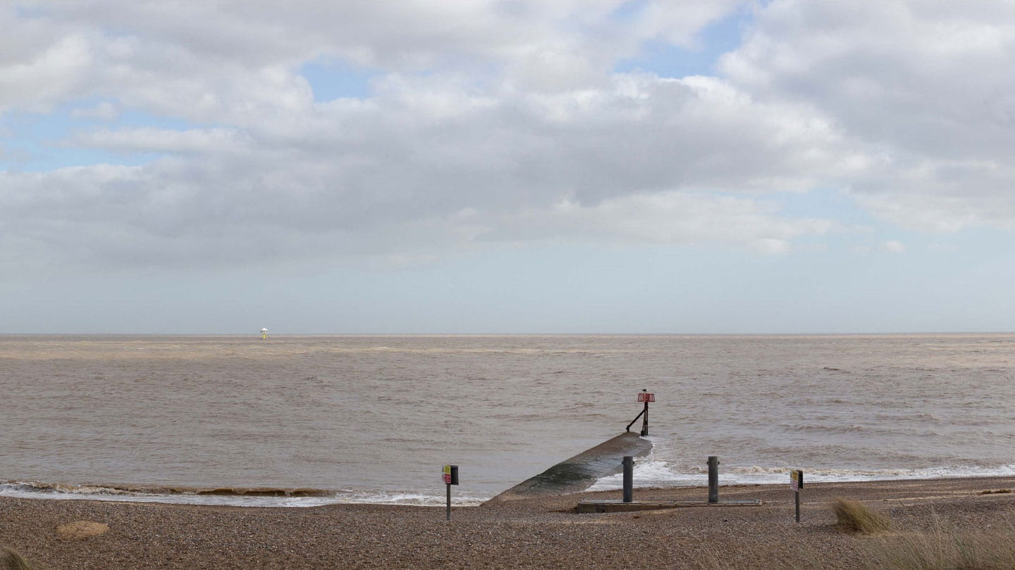 Kittiwake compensation