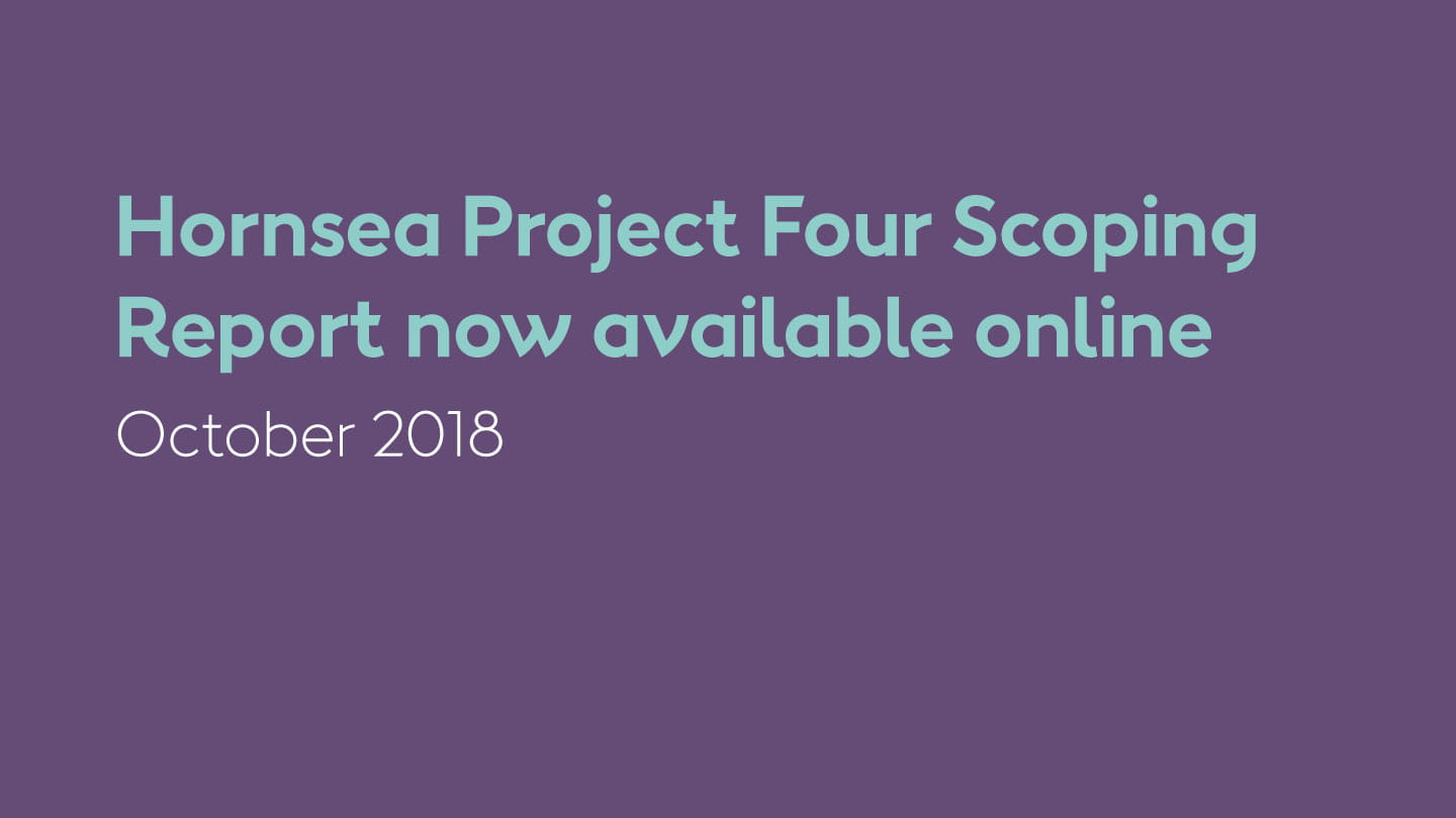 Scoping Report now available