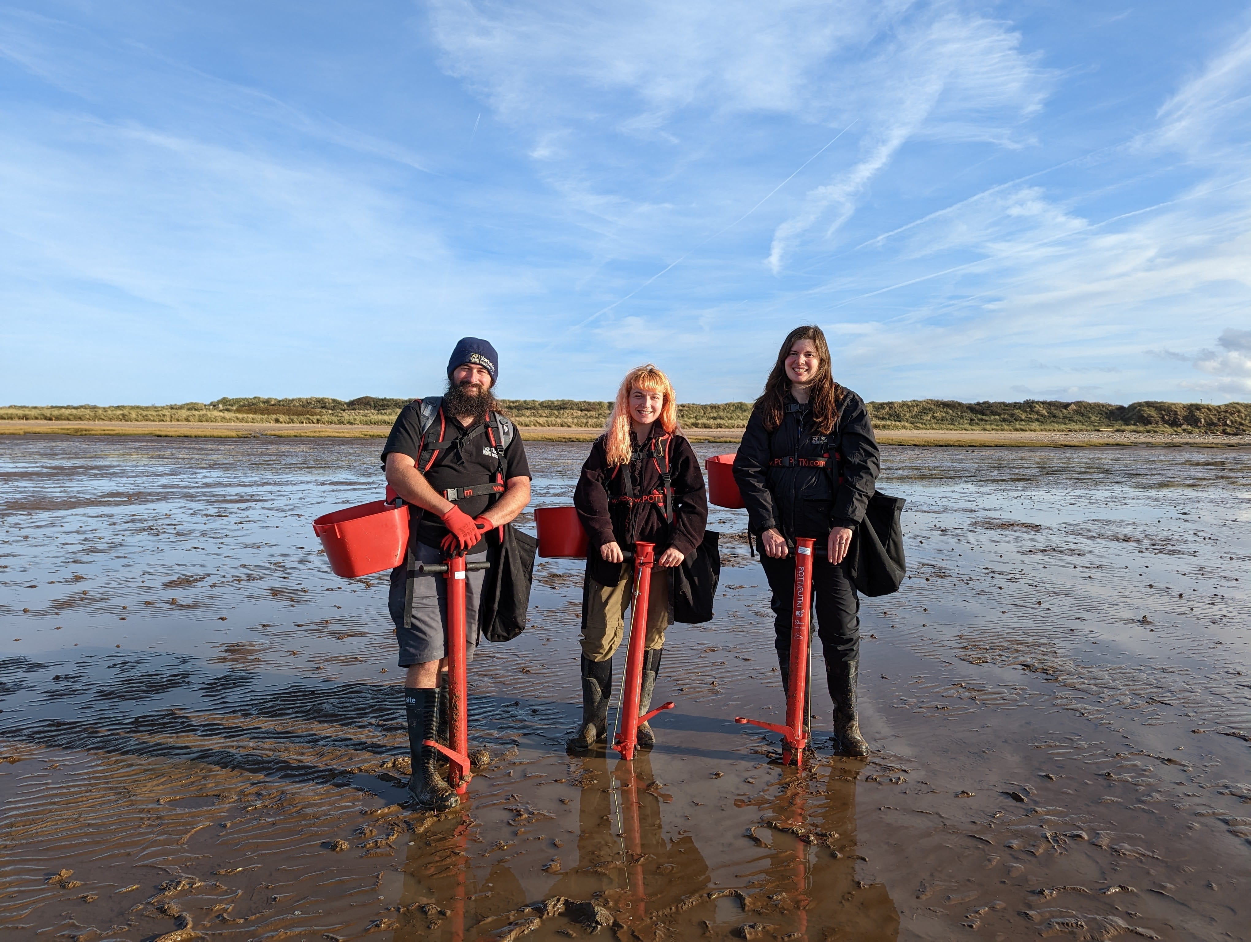 Proposal for Largest Seagrass Restoration Project in the UK and Europe ...