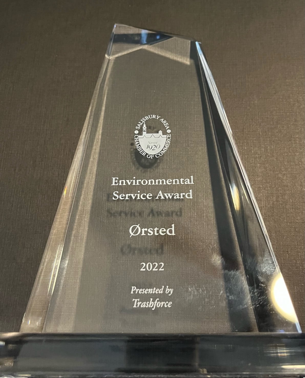 Salisbury Area Chamber of Commerce Environmental Service Award