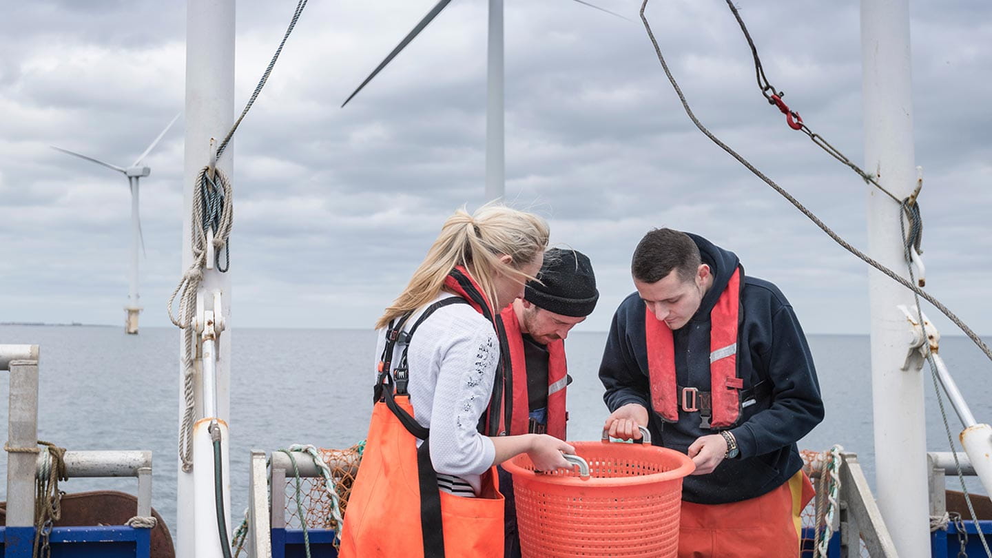 Delivering Offshore Wind Power To New Jersey|Ocean Wind 1