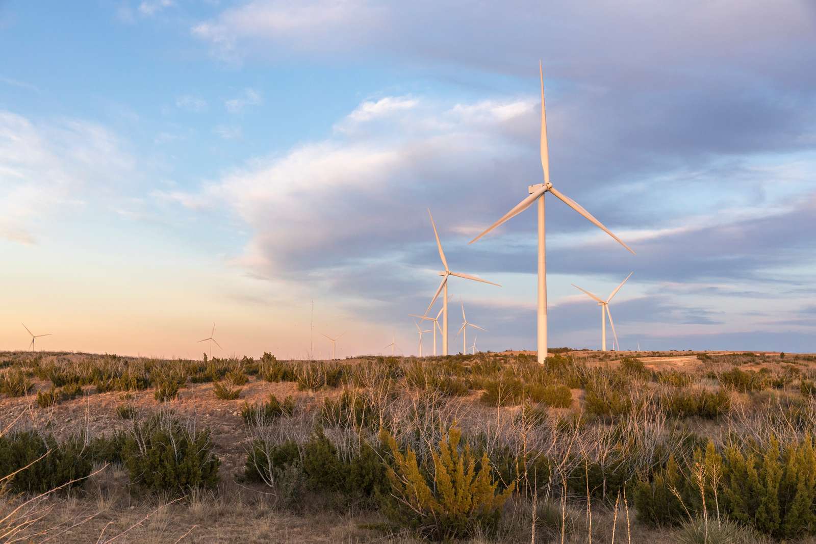 Orsted signs long-term power purchase agreements with PepsiCo for ...